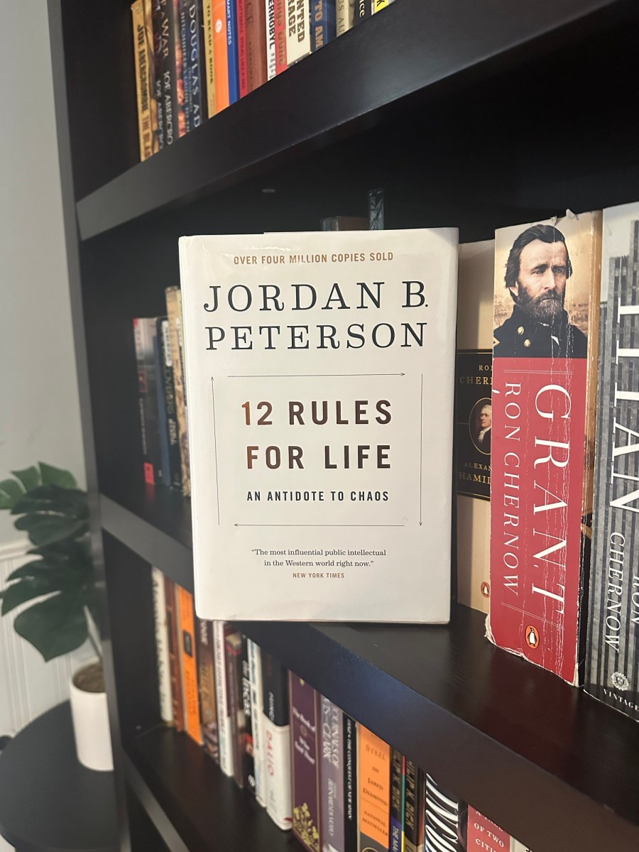 17 Lessons Learned from 12 Rules For Life by Jordan Peterson – Book Ponder